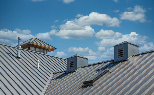 Metal Roof Panel Replacement - Supreme Roof Waterproofing Company